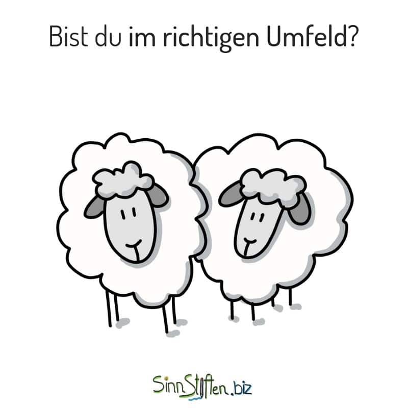 Coaching Karten Set – Coaching Bilder